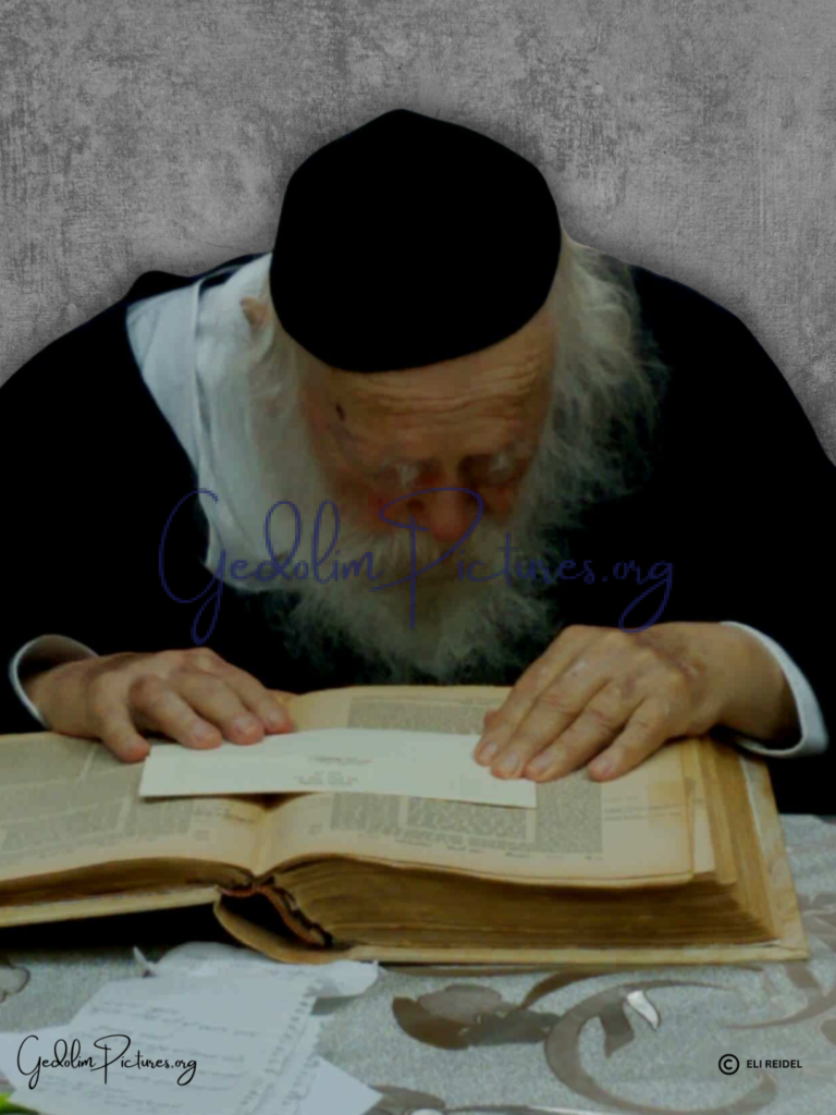 Reb Chaim Kanievsky ZTL - Premium Gedolim Picture for Download ...