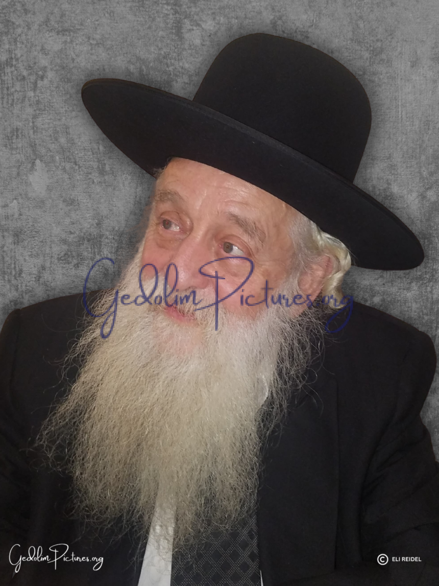 Reb Elya Ber Wachtfogel - Premium Gedolim Picture for Download ...