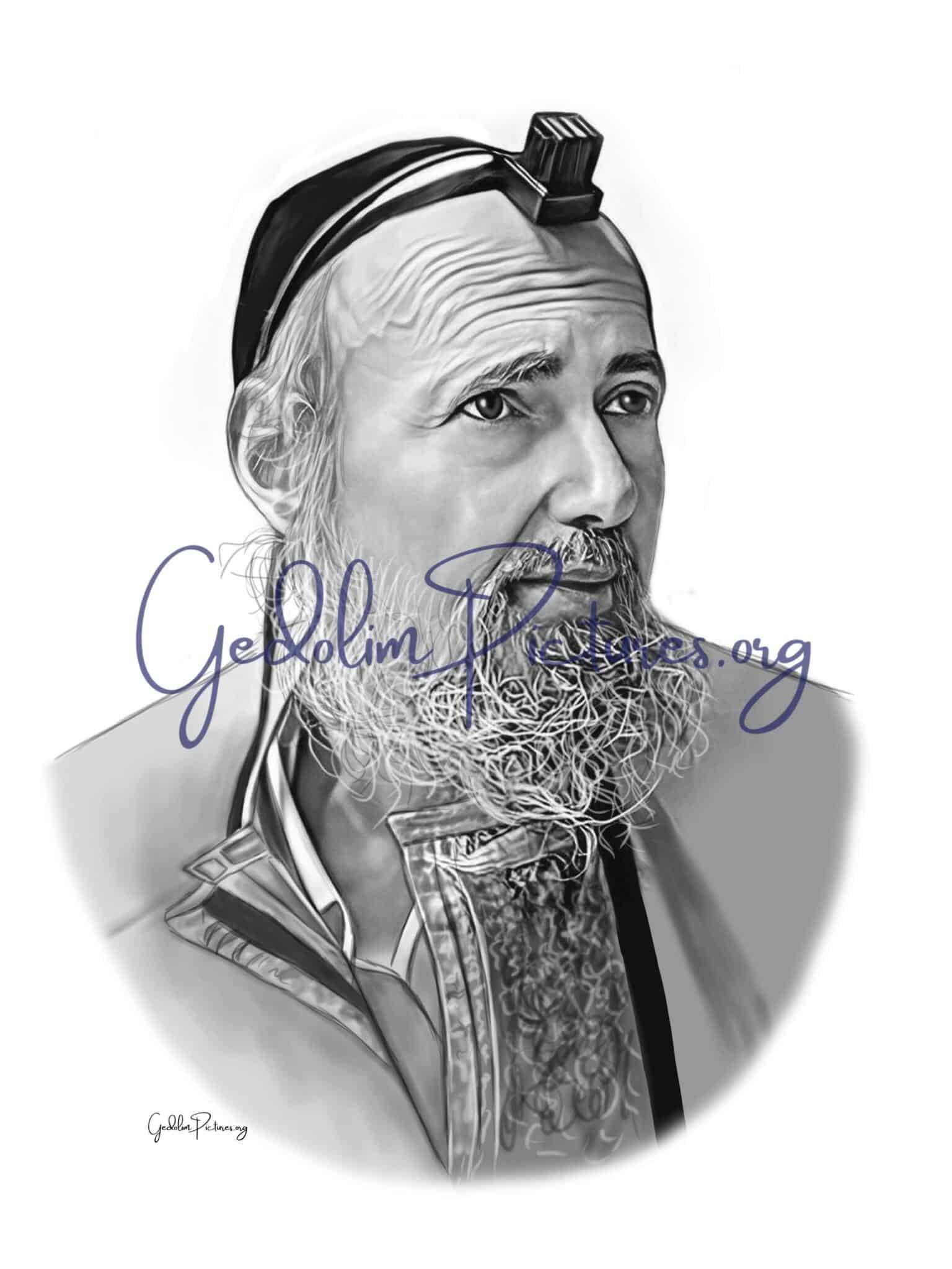 Reb Dov Kook Portrait Shlita - Premium Gedolim Portrait for Download ...